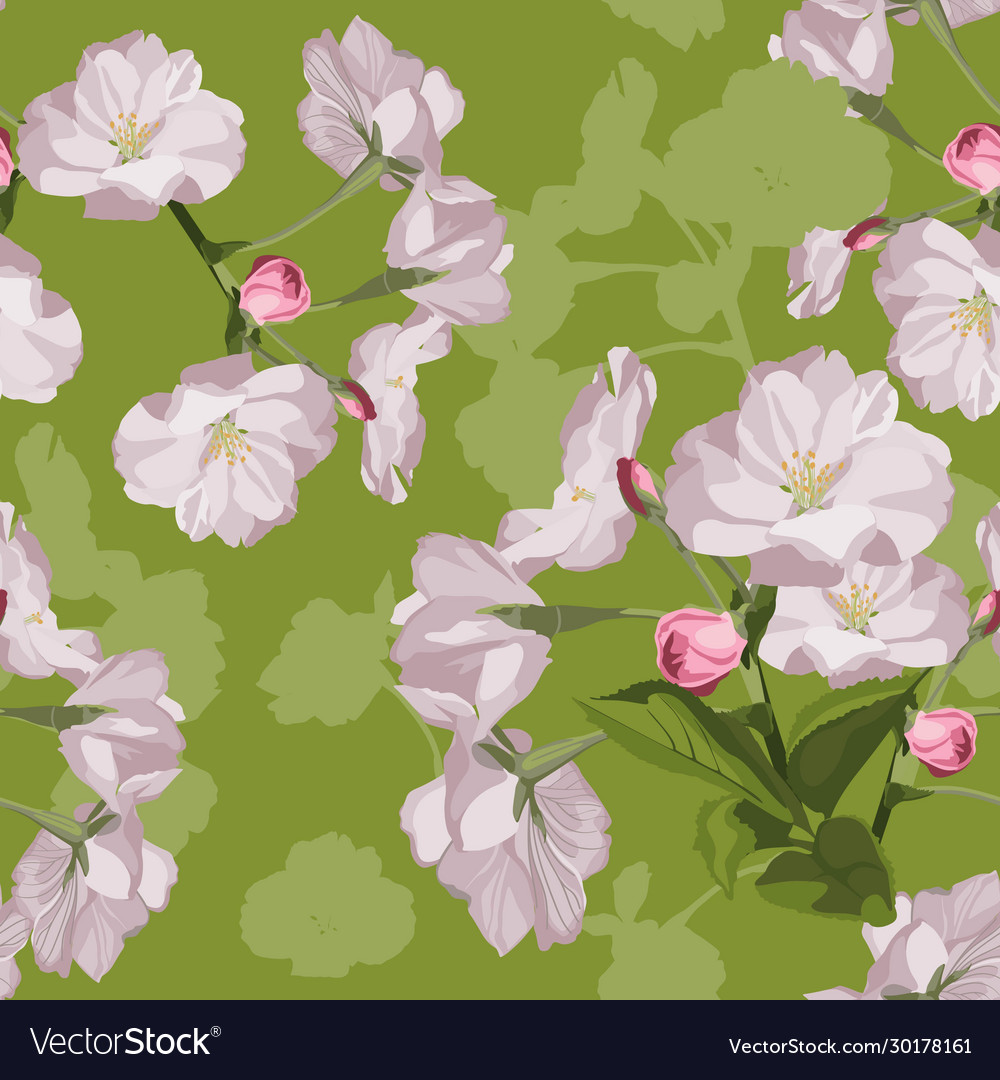Sakura seamless pattern Royalty Free Vector Image