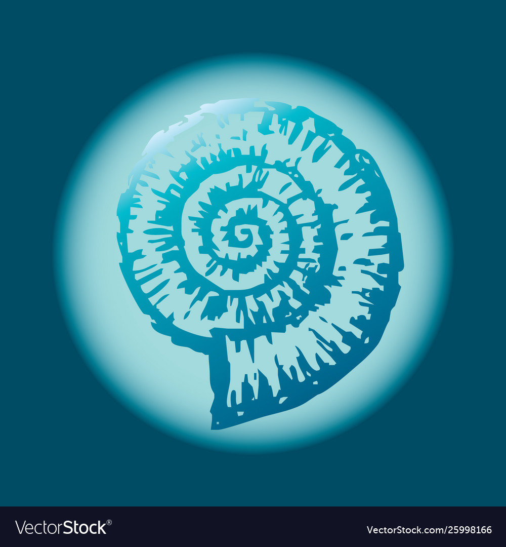 Blue shell Royalty Free Vector Image - VectorStock