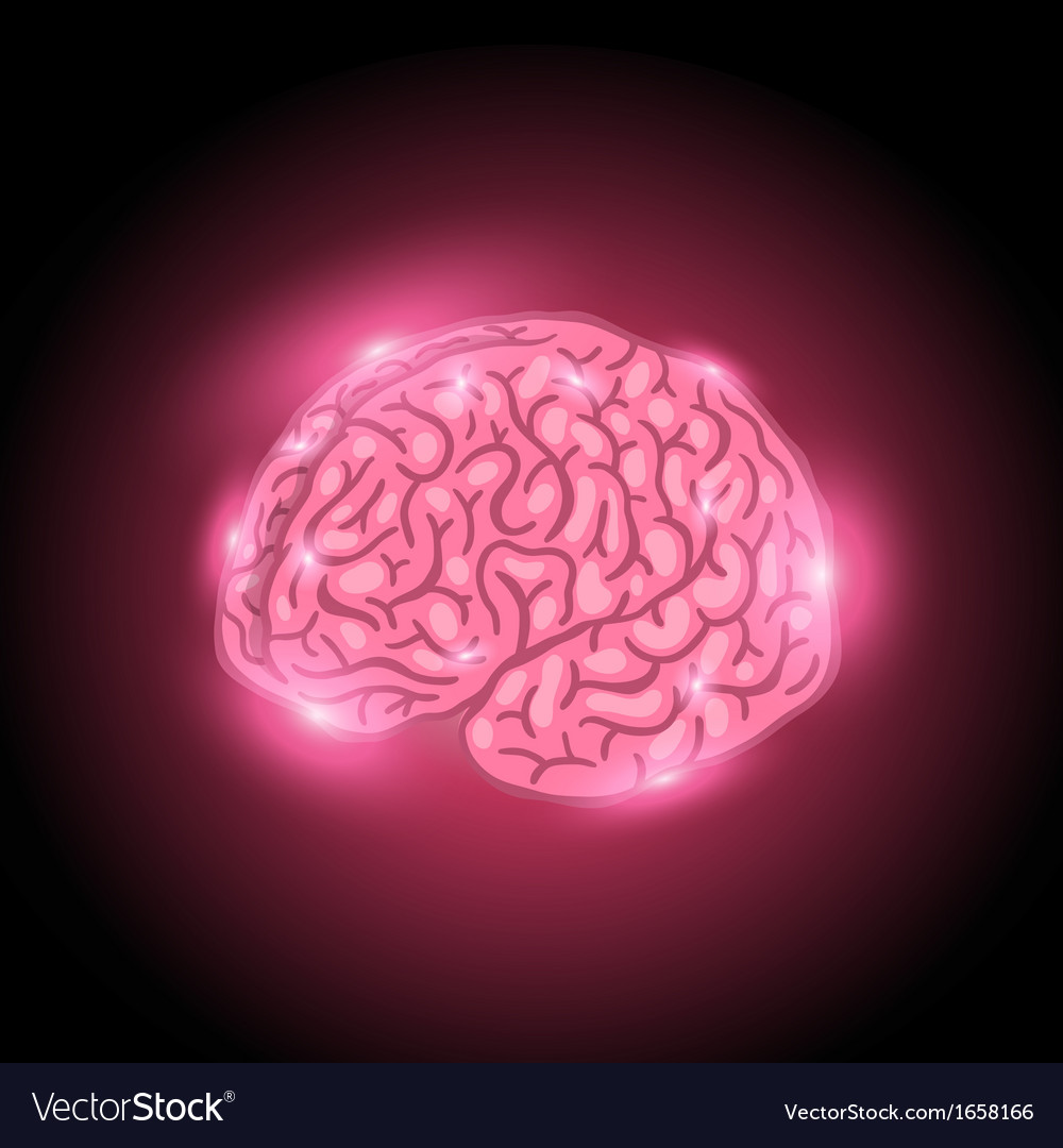Brain Royalty Free Vector Image - VectorStock