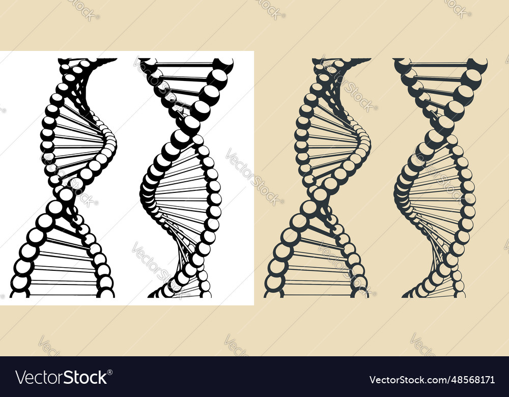 Dna chains Royalty Free Vector Image - VectorStock