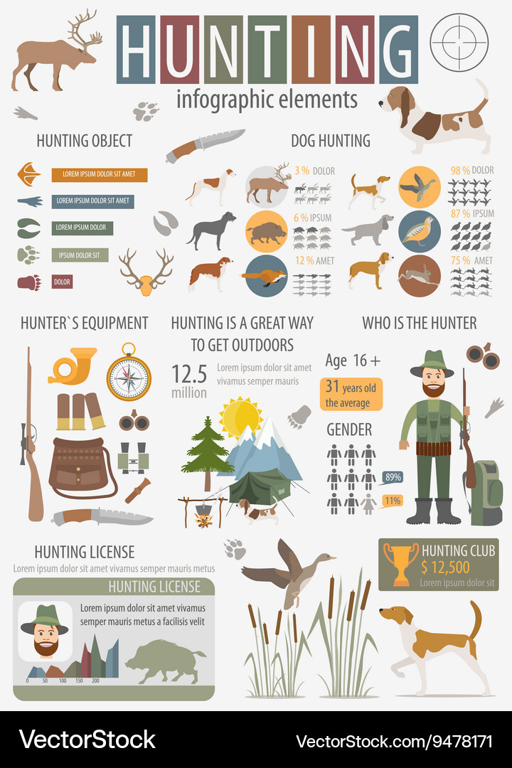 Hunting infographic template dog equipment Vector Image