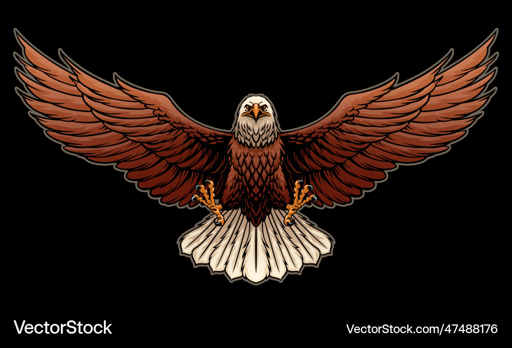 Hand drawn of angry bald eagle spread the wing Vector Image