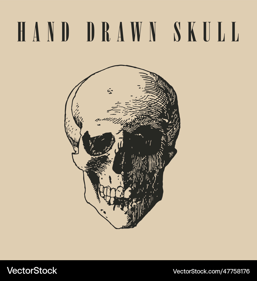 Retro skull hand drawn vintage design Royalty Free Vector
