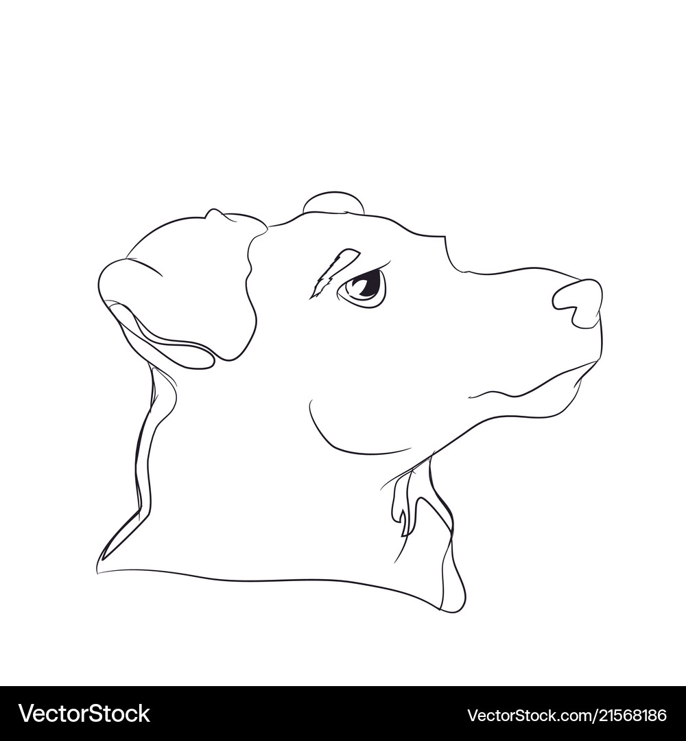 Dog portrait lines Royalty Free Vector Image - VectorStock