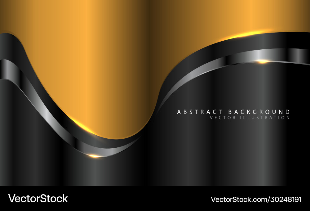 Abstract gold curve with silver line on dark grey Vector Image
