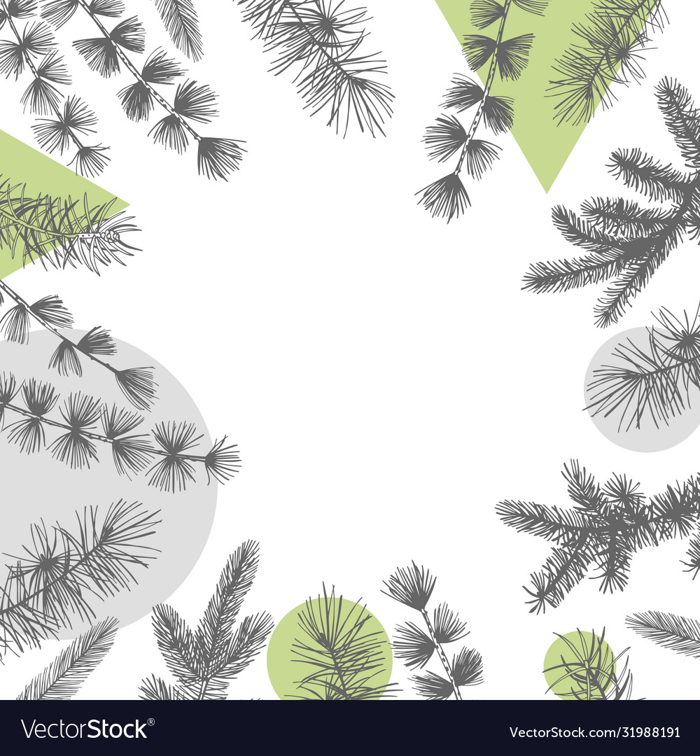 Background with hand drawn christmas plants Vector Image Background with hand drawn christmas plants Vector Image