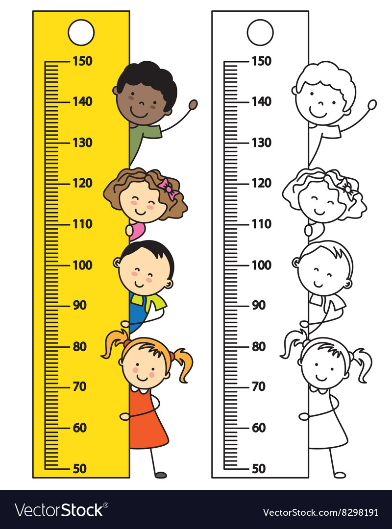 Meter wall Royalty Free Vector Image - VectorStock