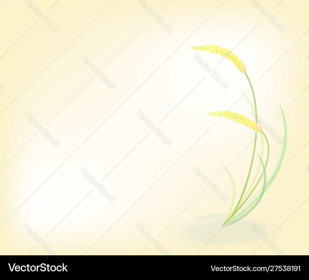 Rice in watercolor style Royalty Free Vector Image