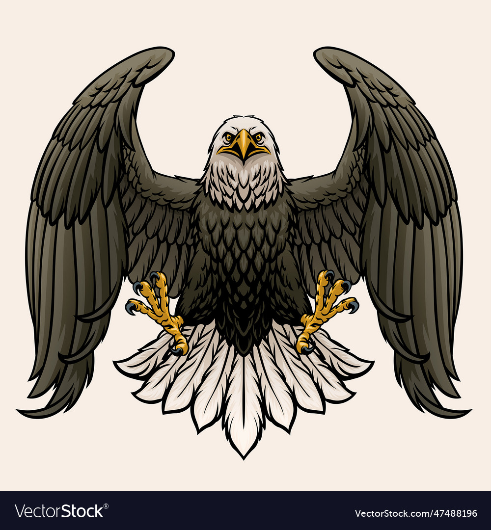 Powerful bald eagle Royalty Free Vector Image - VectorStock