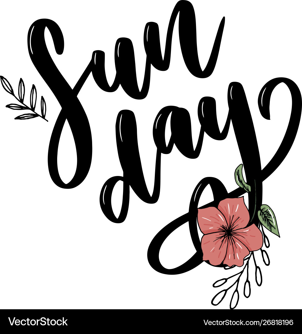 Sunday - hand drawn lettering phrase modern brush Vector Image