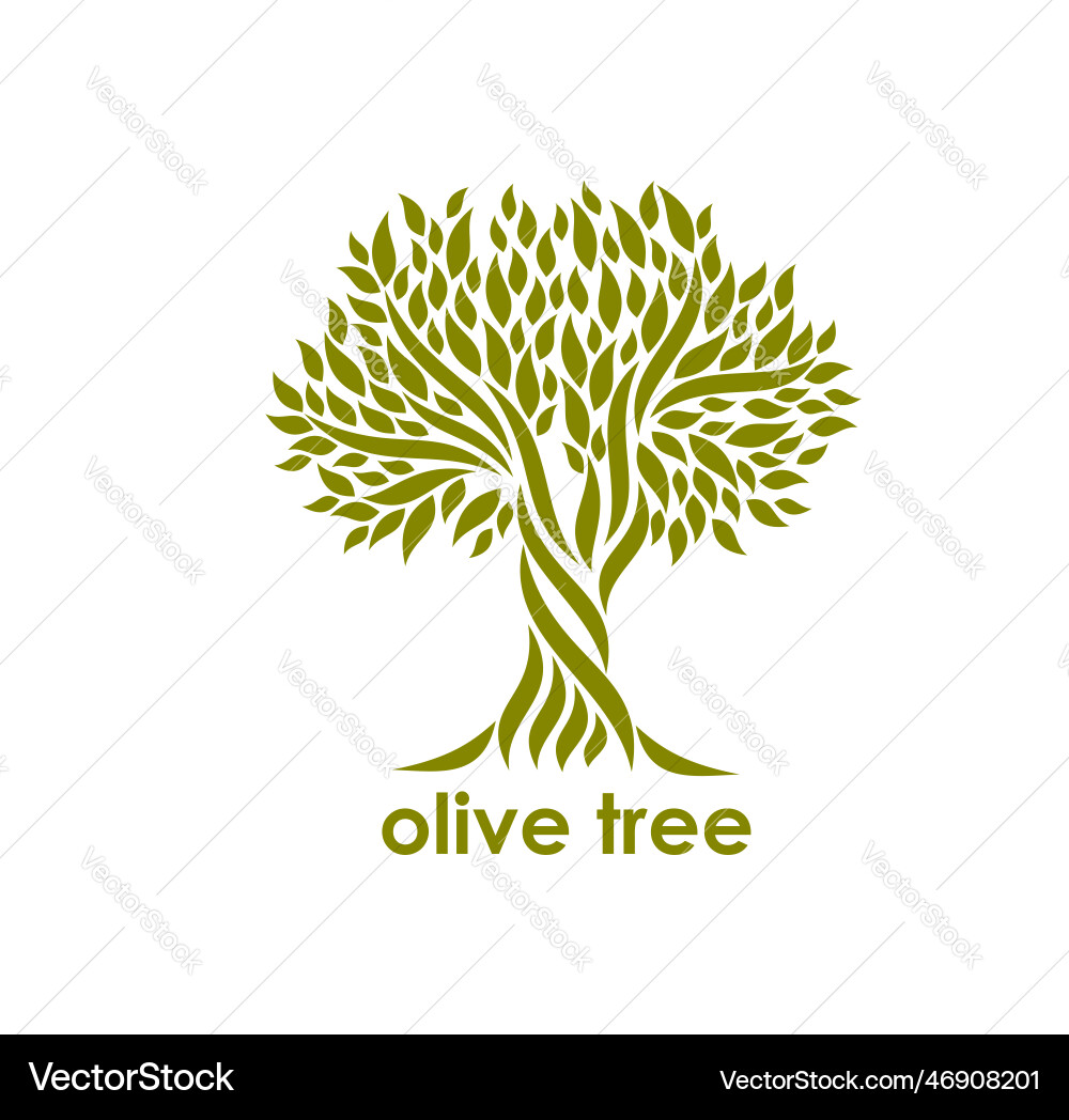 Old olive tree symbol organic farm emblem Vector Image