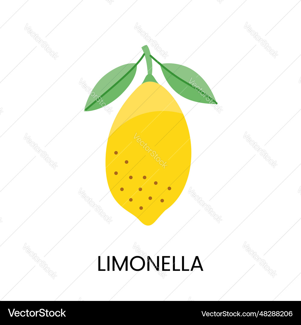 Limonella conveying juiciness Royalty Free Vector Image