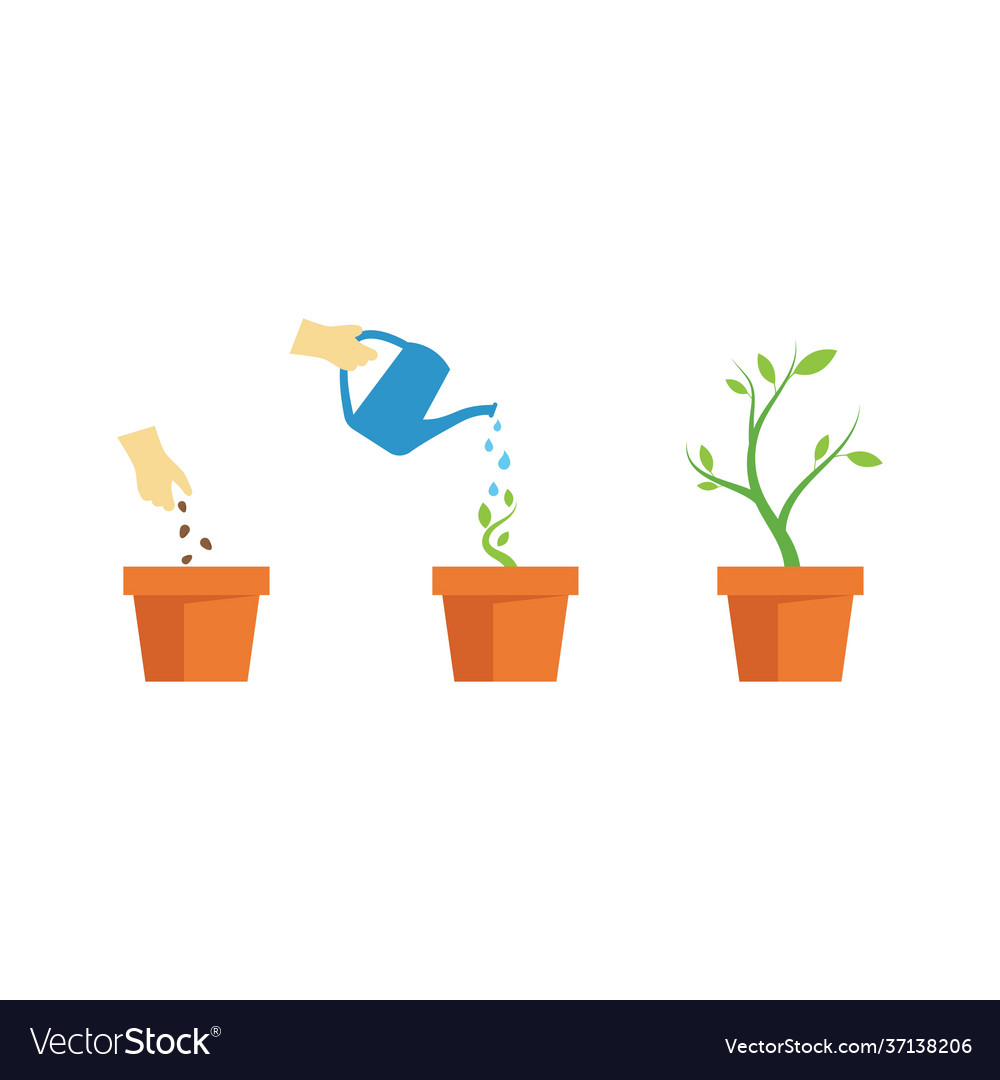 Plant Life Process Royalty Free Vector Image VectorStock plant-life-process-royalty-free-vector-image-vectorstock