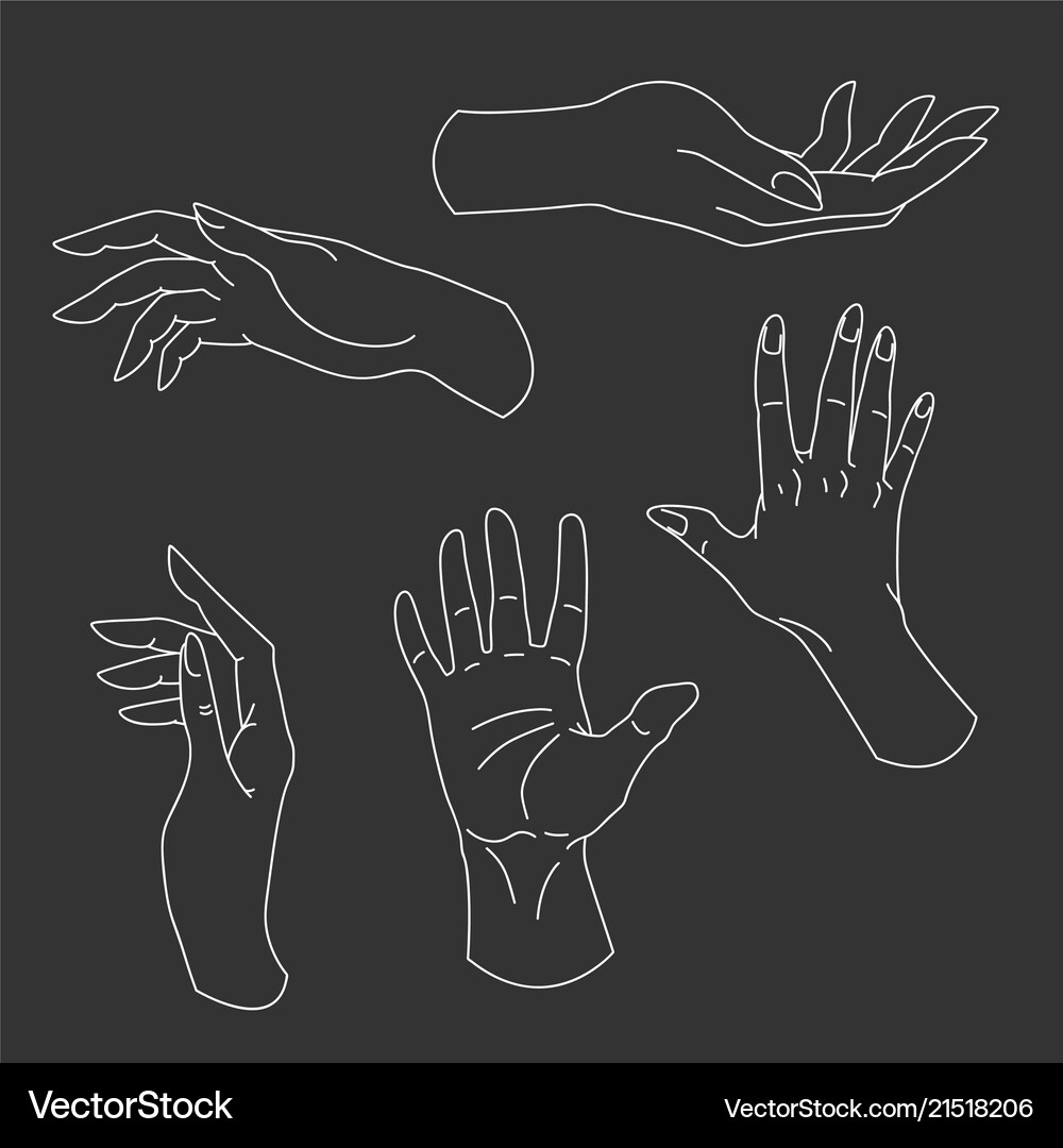 Set of hand drawn arms Royalty Free Vector Image