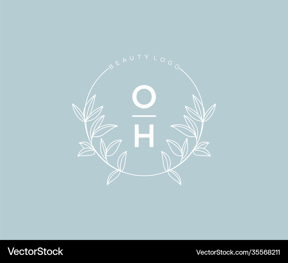 Initial oh letters beautiful floral feminine Vector Image