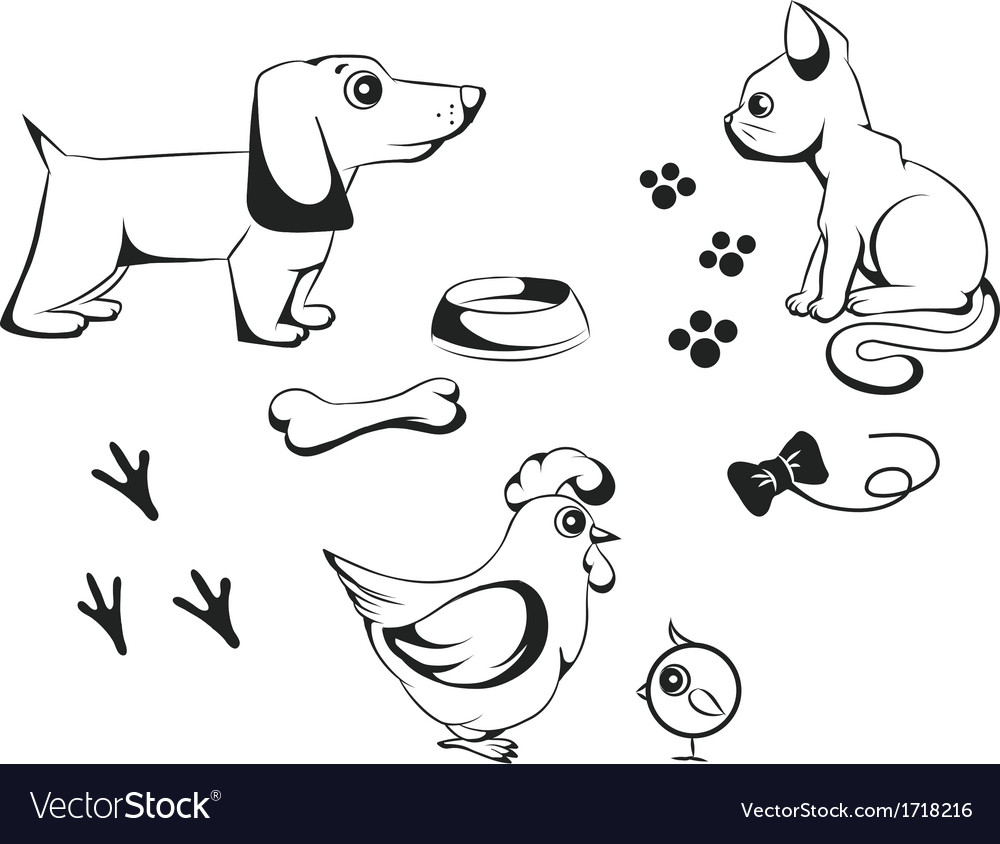 Pets Royalty Free Vector Image - VectorStock