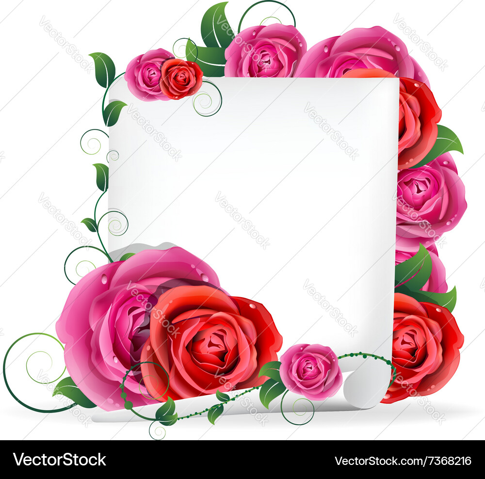 Roses and paper Royalty Free Vector Image - VectorStock