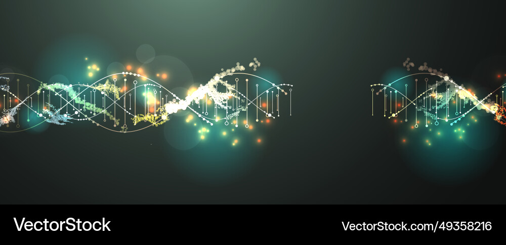 Science template wallpaper or banner with a dna Vector Image