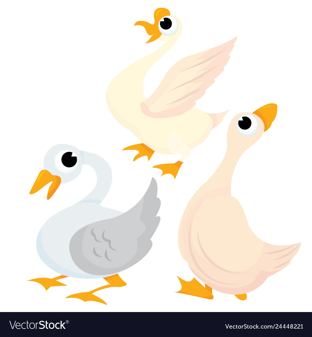 Gooses and ducks Royalty Free Vector Image - VectorStock