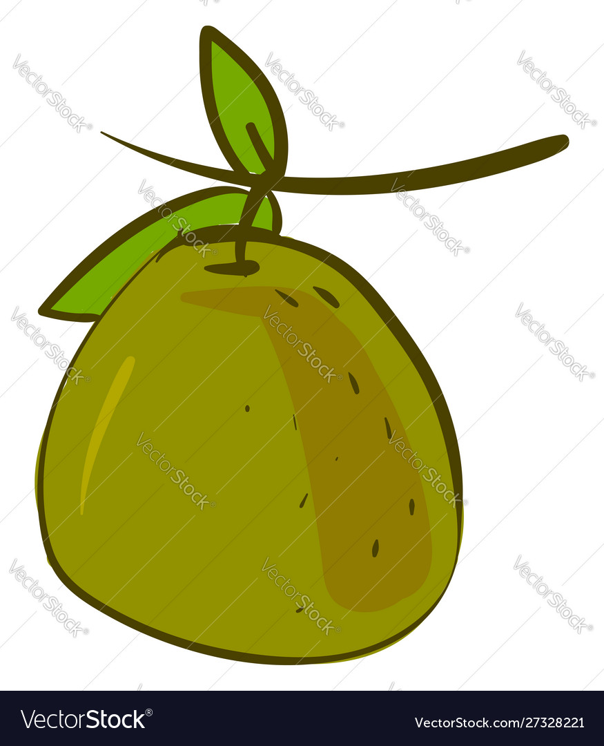Green fruit on white background Royalty Free Vector Image