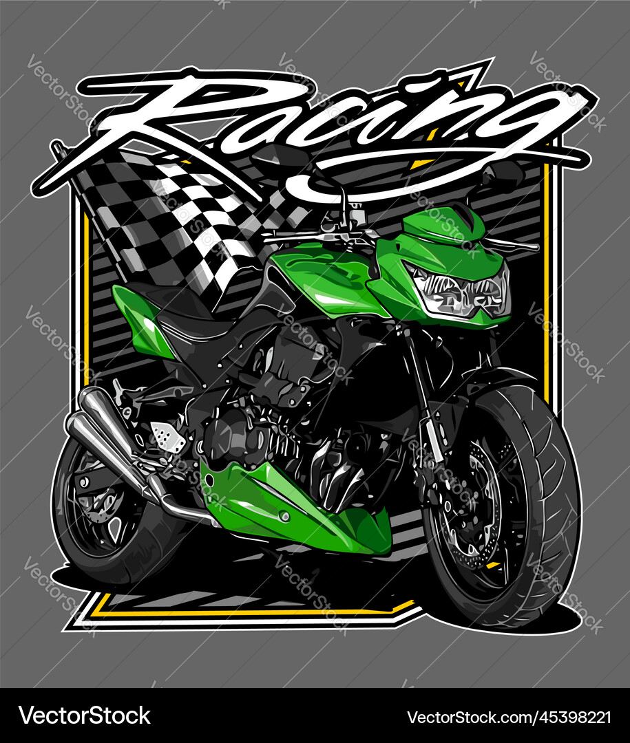 Motor sport racing flag background and numbers Vector Image