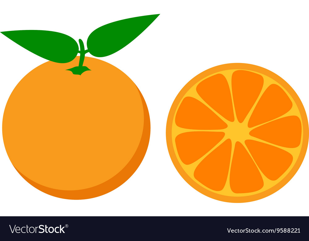 Orange isolated Royalty Free Vector Image - VectorStock