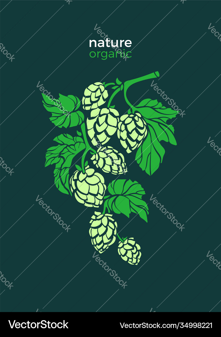Symbol Hopfen natürliche Getränke Kunst Form Design