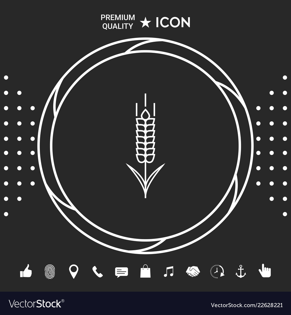 Wheat or rye spikelet icon graphic elements Vector Image