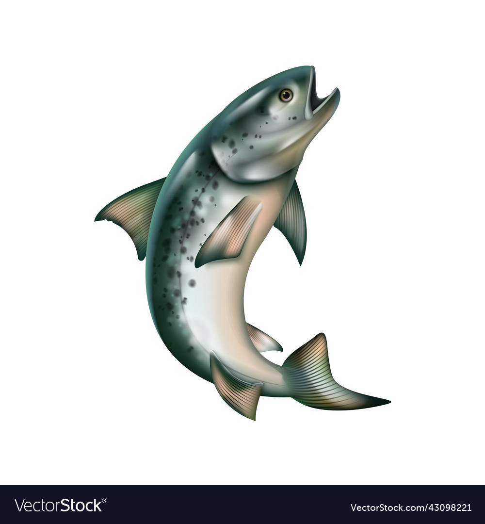 Winter fish realistic composition Royalty Free Vector Image