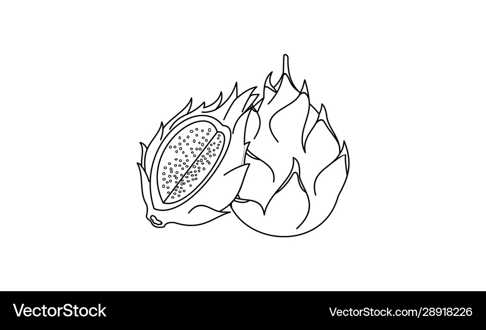 Coloring book fruit to educate kids learn colors Vector Image