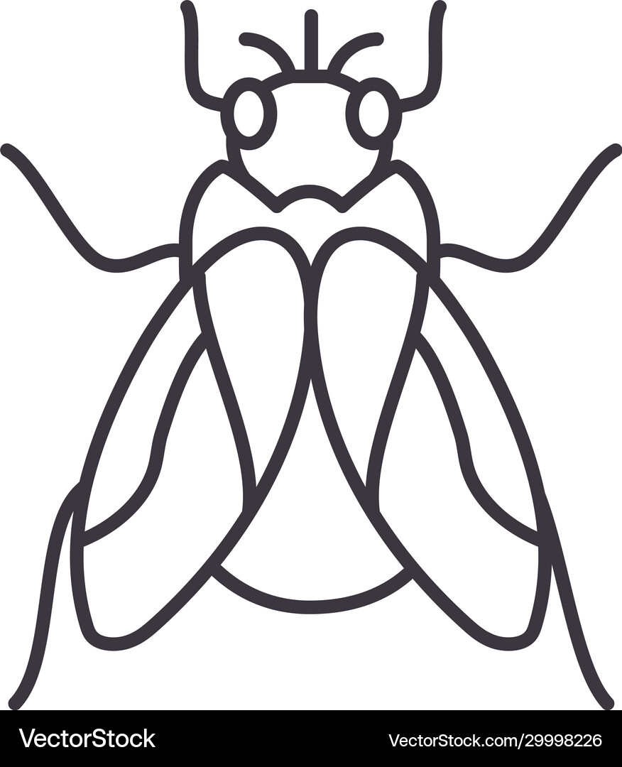 Fly insect line detail style icon Royalty Free Vector Image
