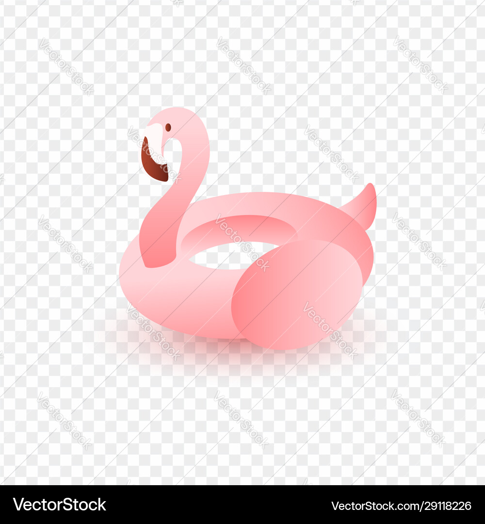 Inflatable rubber flamingo isolated on a white Vector Image