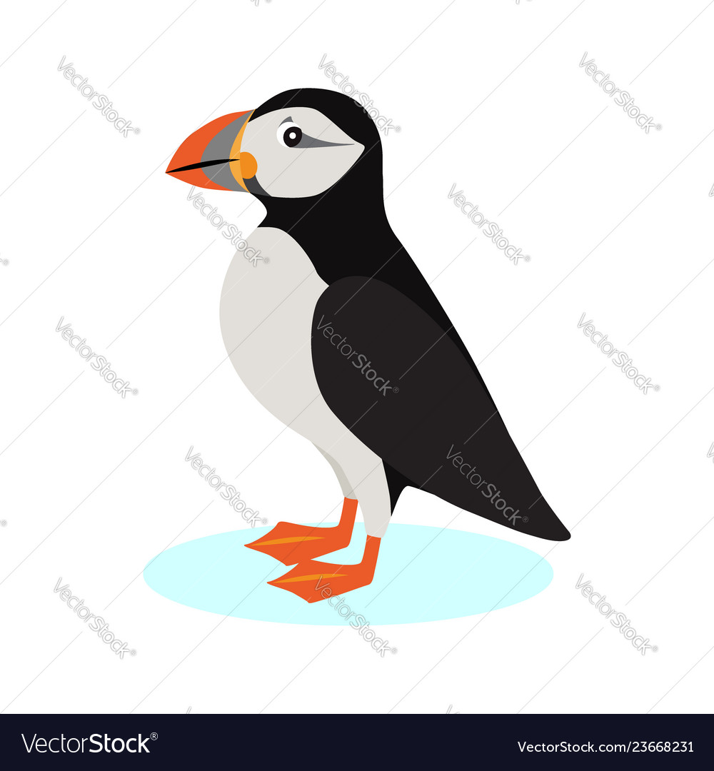 Atlantic puffin icon polar bird with colorful Vector Image