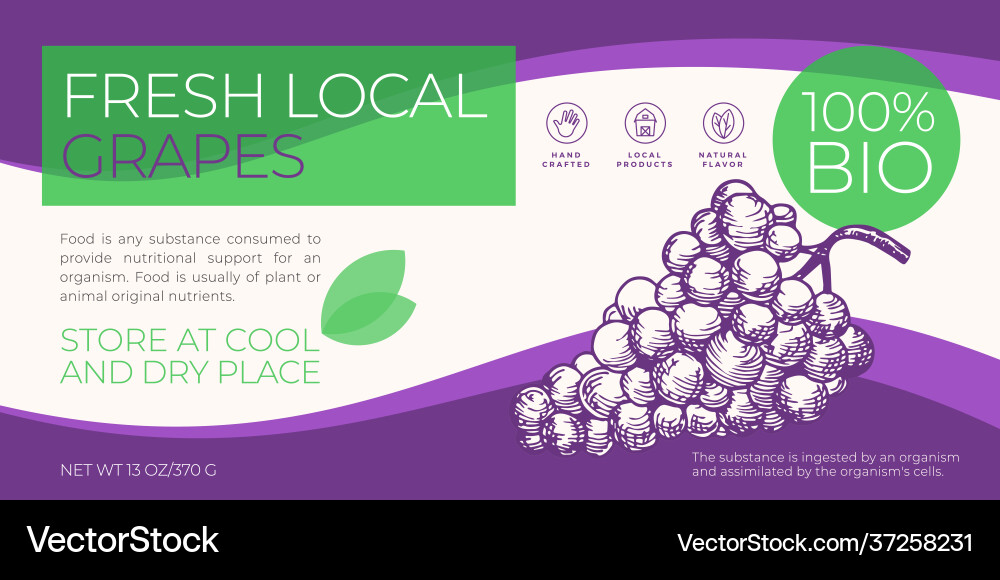 Fresh local fruits and berries label template Vector Image