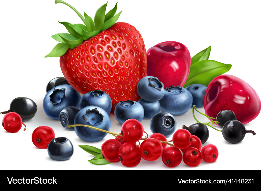 Mix of different fresh sweet berries Royalty Free Vector