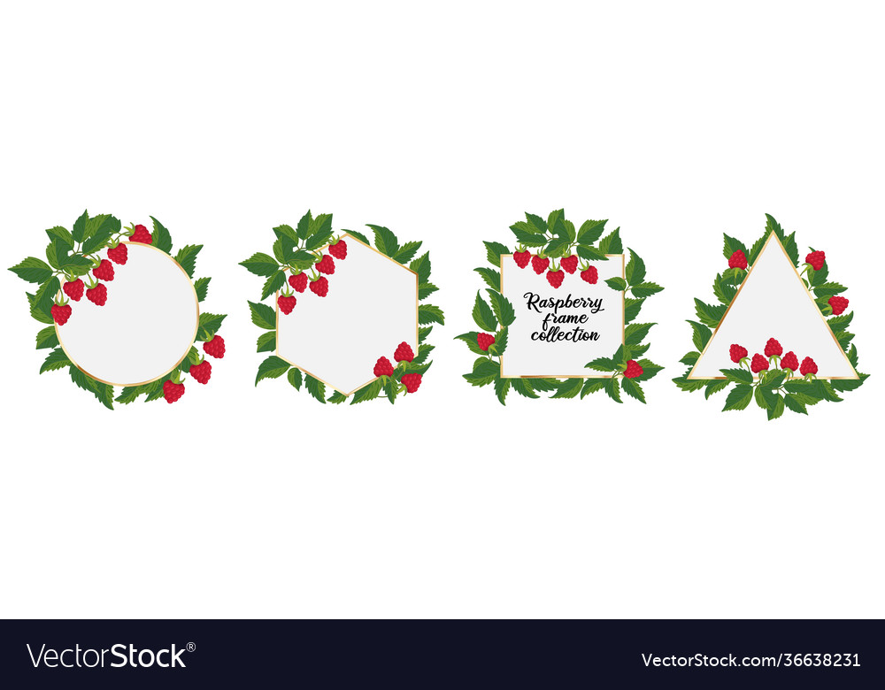 Raspberry frame set golden frames Royalty Free Vector Image