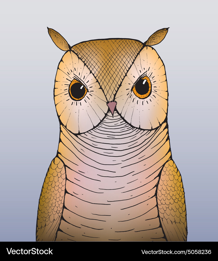 A drawing of an owl Royalty Free Vector Image - VectorStock