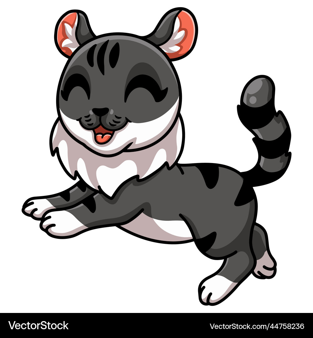 Cute american curl cat cartoon Royalty Free Vector Image