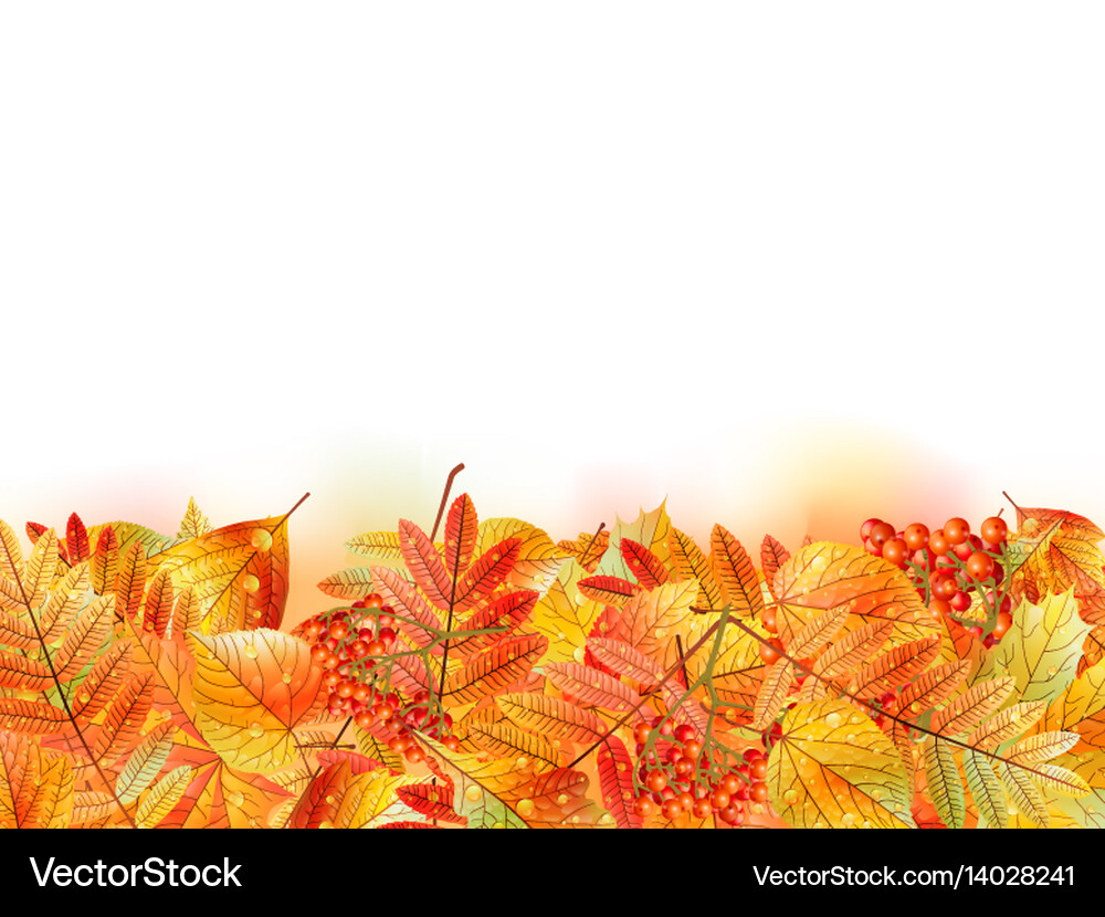Autumn background with leaves back to school Vector Image