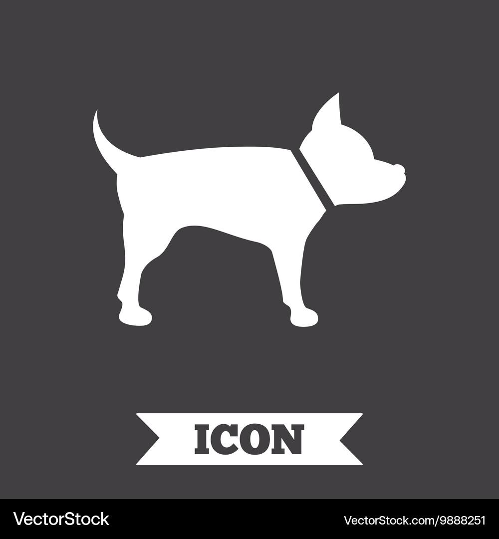 Dog sign icon pets symbol Royalty Free Vector Image