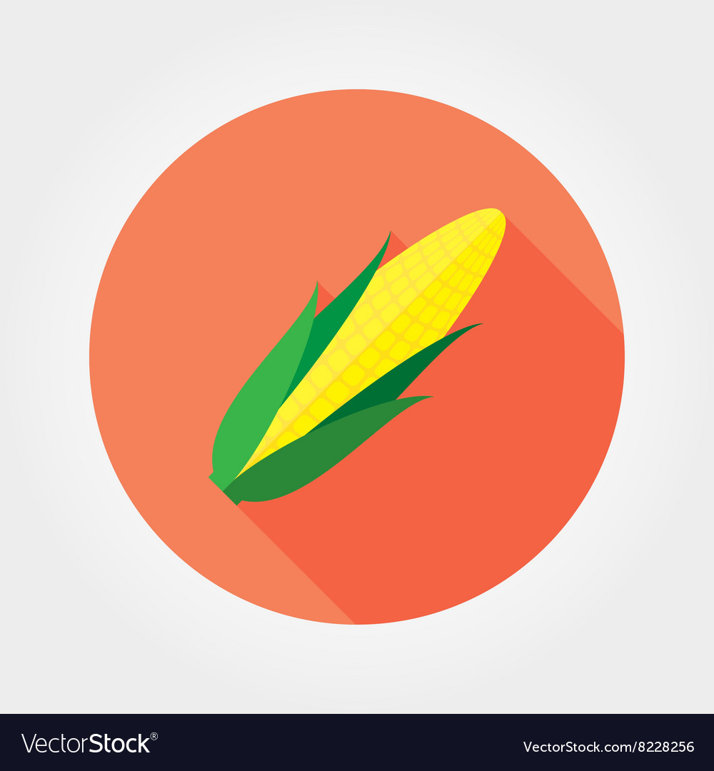Corn flat icon Royalty Free Vector Image - VectorStock