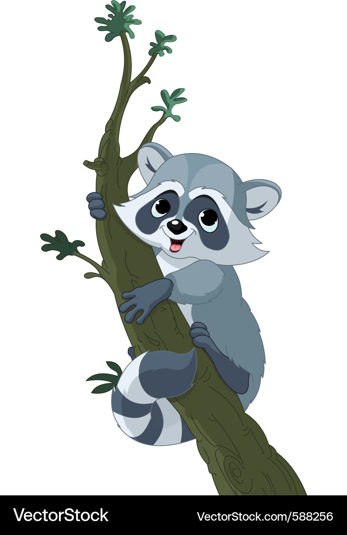 Funny cartoon raccoon Royalty Free Vector Image