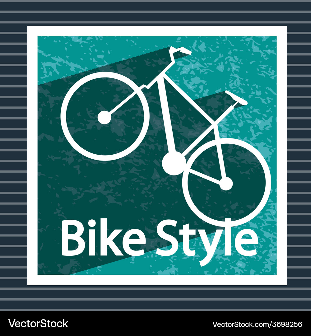 Simple flat images bike on the background Vector Image