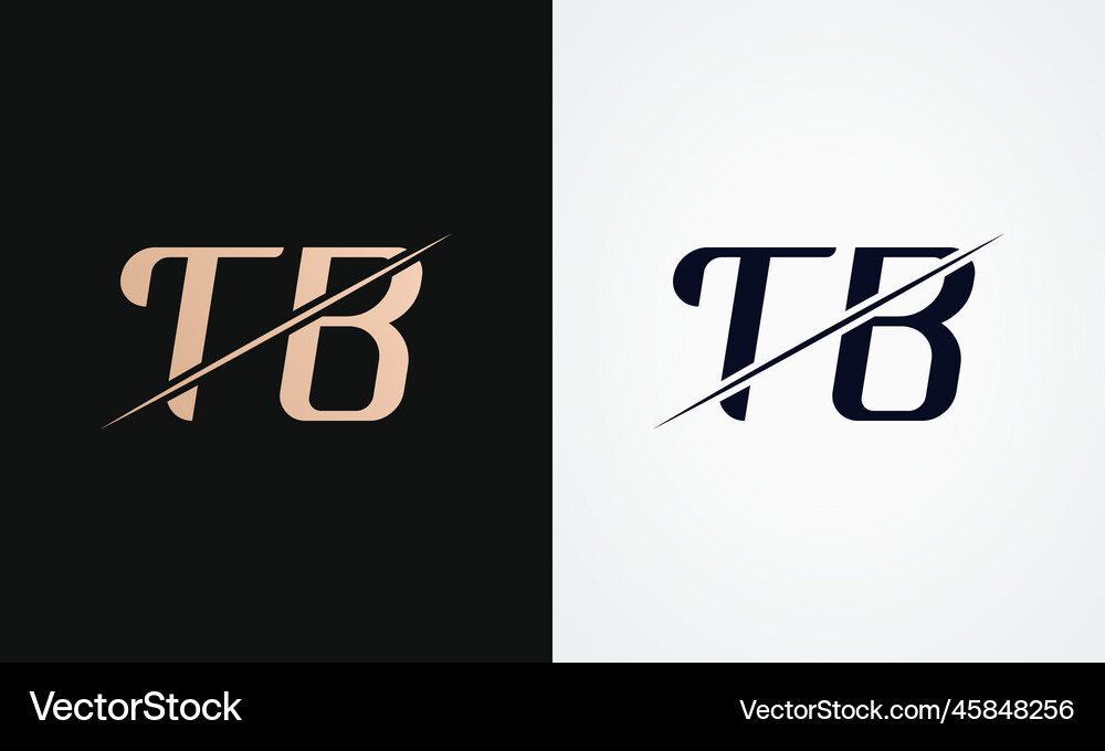 Tb letter logo design template gold and black Vector Image