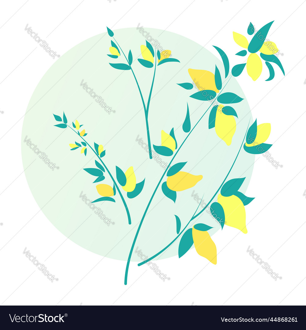 Lemon branch Royalty Free Vector Image - VectorStock