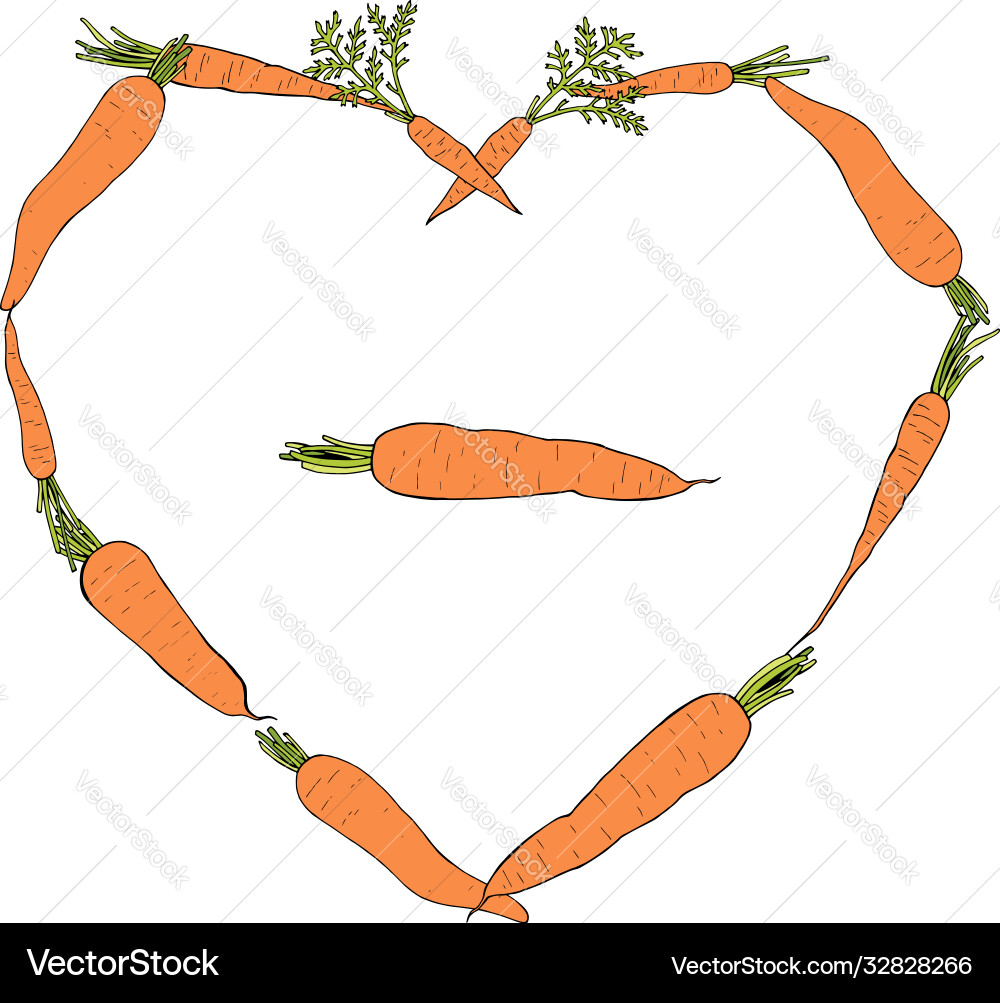 Heart frame with colored carrots isolated Vector Image