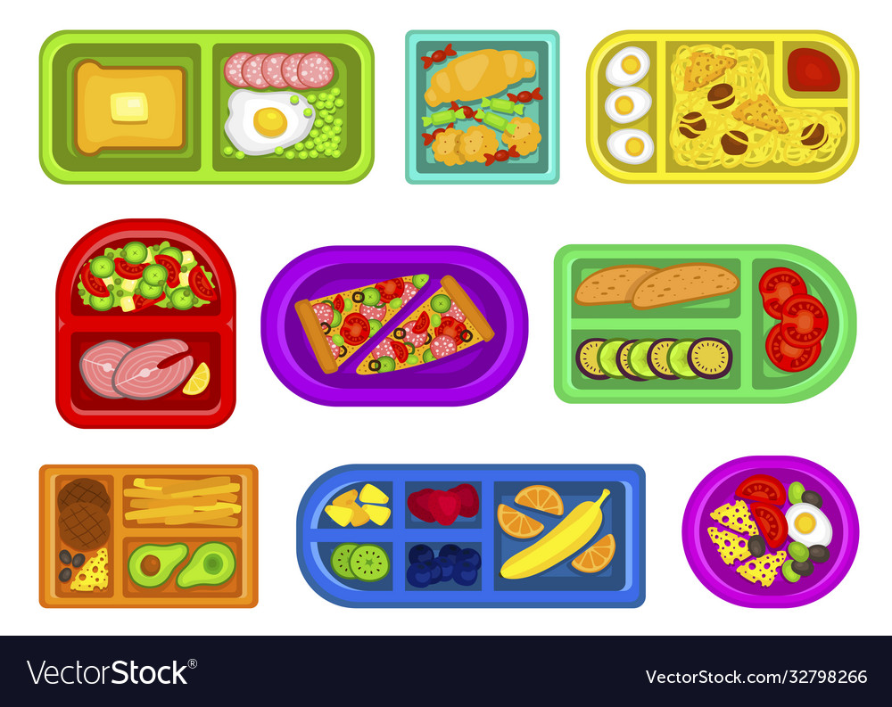 School lunch boxes various shapes and colors Vector Image