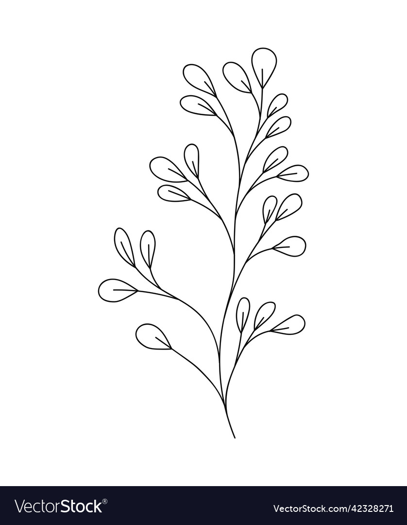 Classical branch design Royalty Free Vector Image