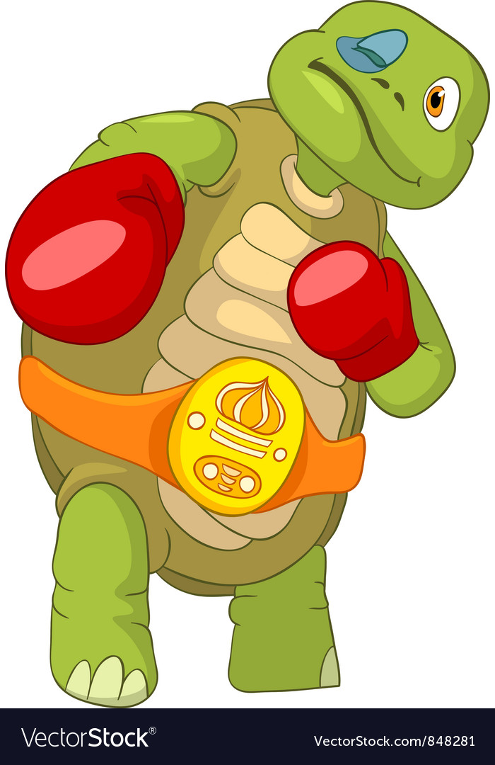Funny turtle boxer Royalty Free Vector Image - VectorStock