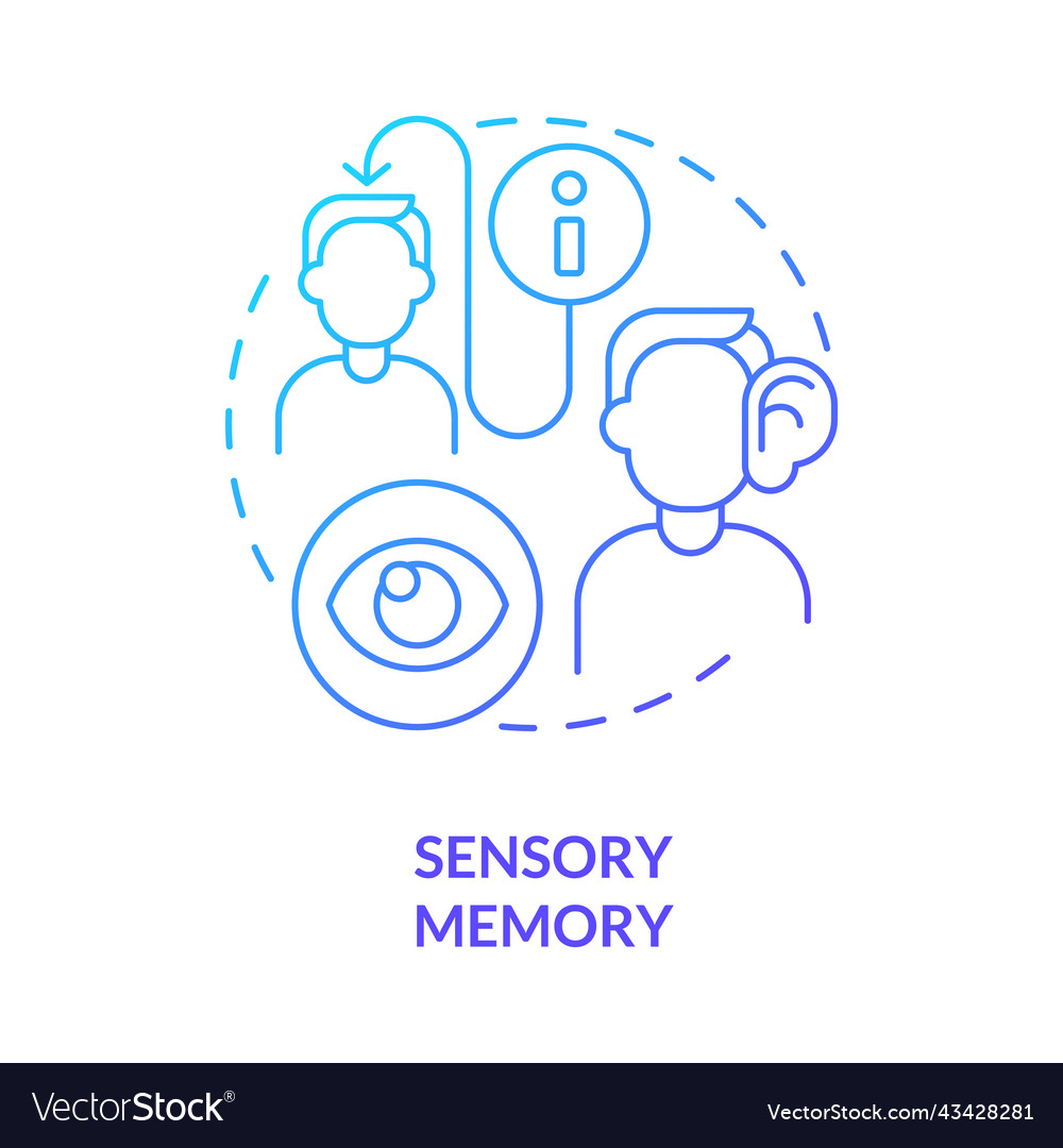 Sensory memory blue gradient concept icon Vector Image